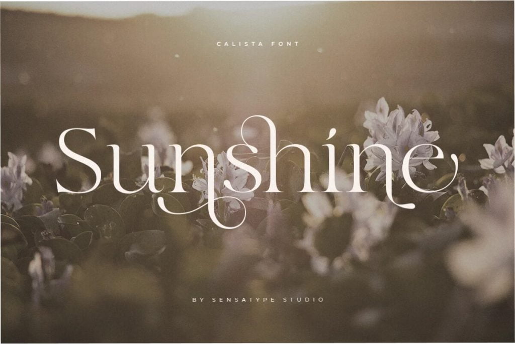 Calista Font Free Download - Fontaza