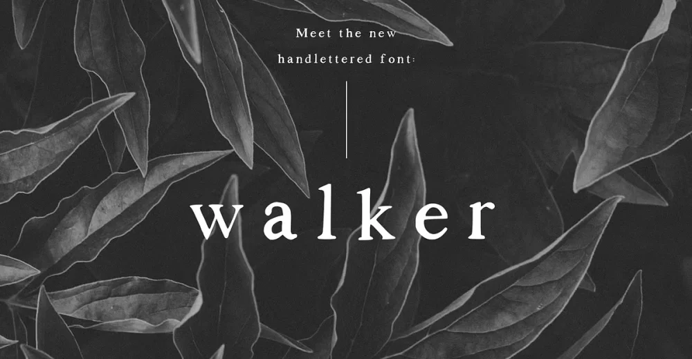 Walker Font Family Free Download | Serif Fonts