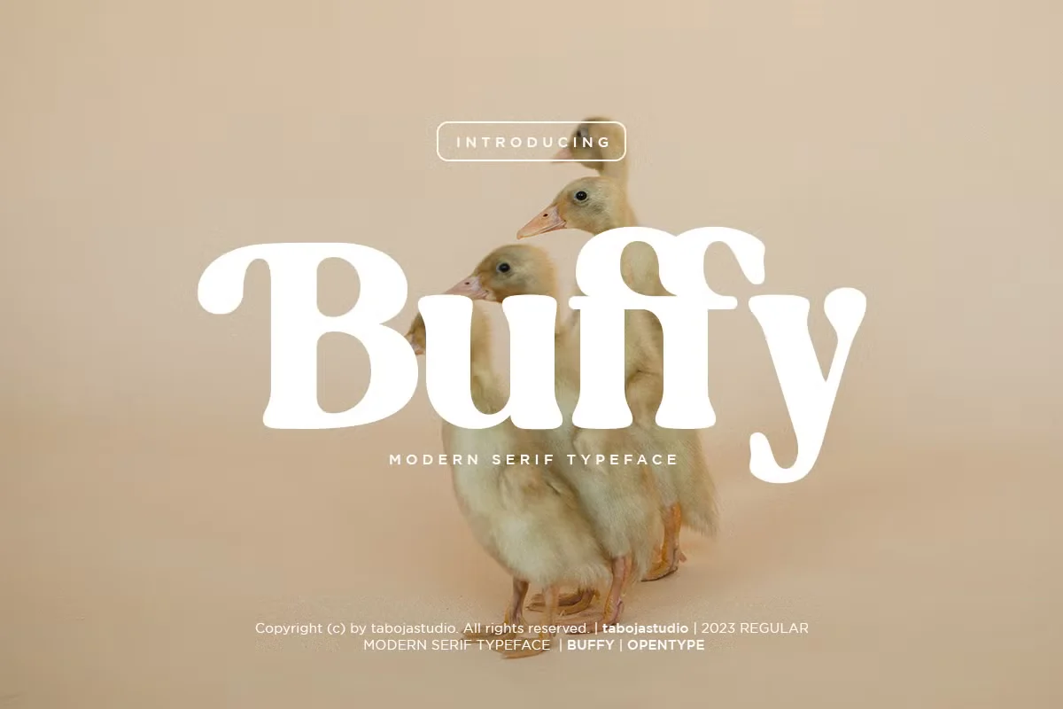 Buffy Font Free Download - Preview, Typography & Usage